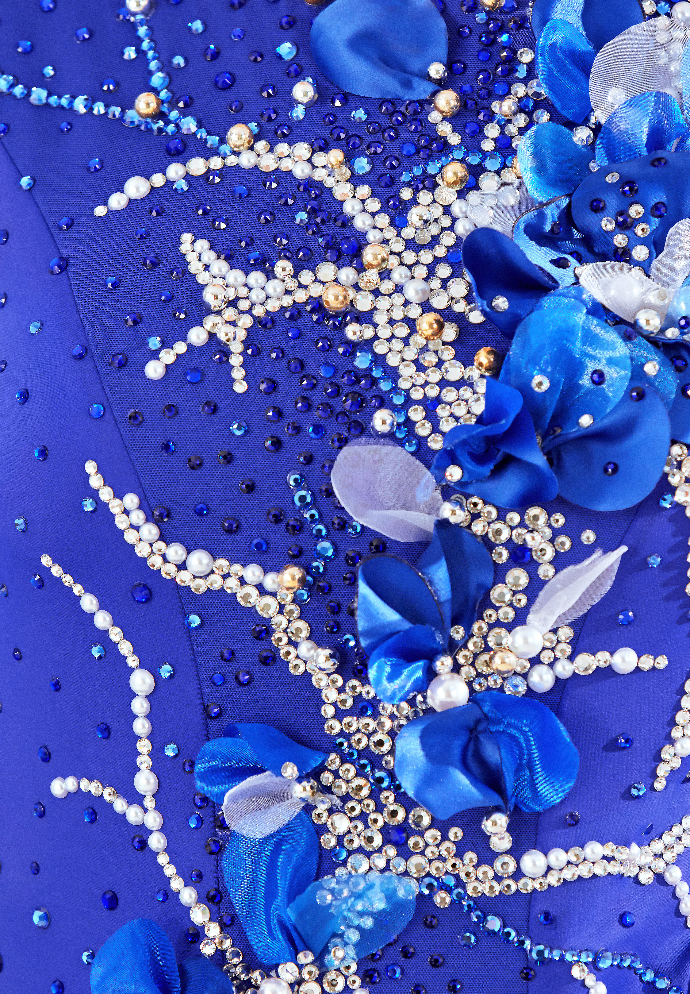 Crystal Petal Ballroom Competition Dress PC-WB19048 | International ...