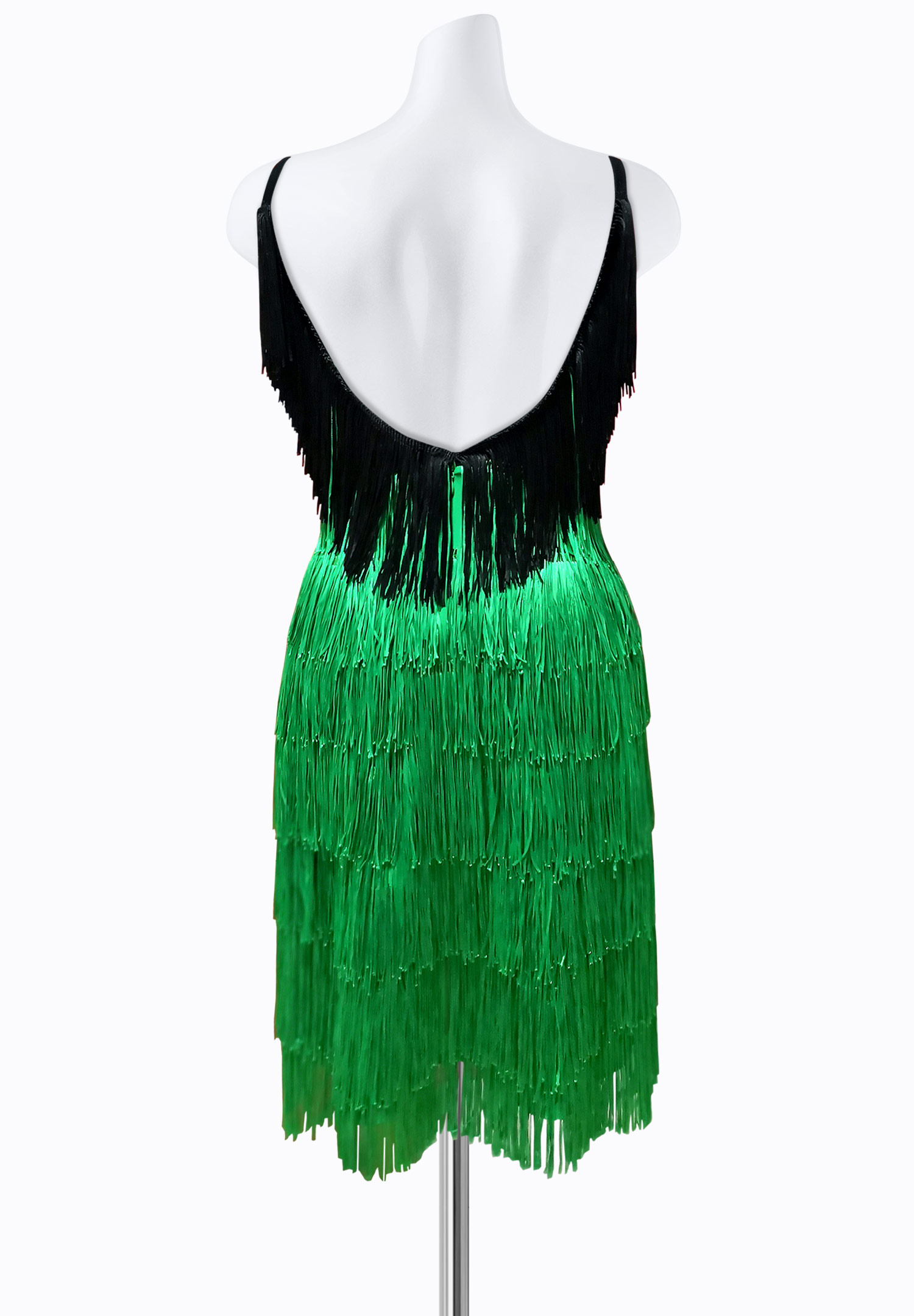 Endless Fringe Latin Dress AM-L3523 | International Latin
