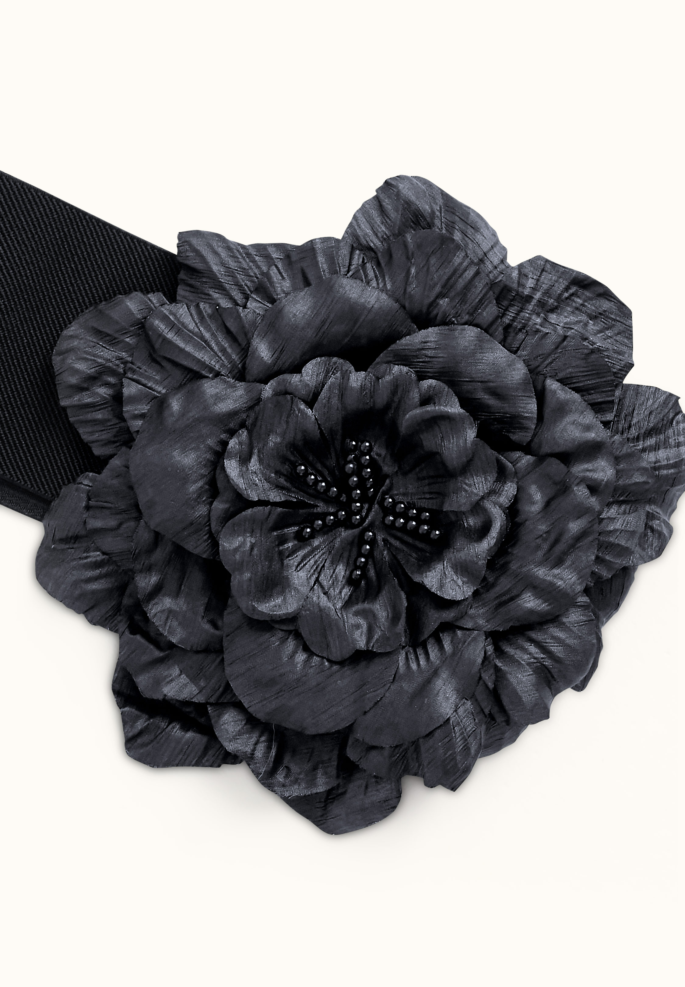 Gio Mio Emma Belt GM0504 | Dance Belts