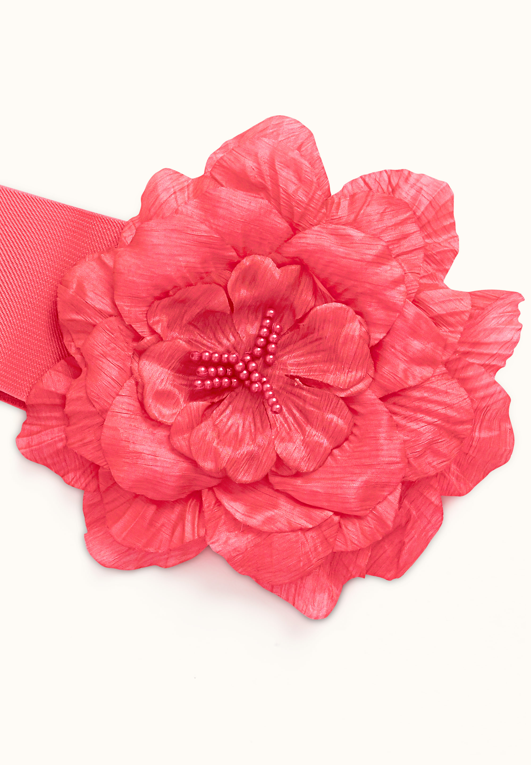 Gio Mio Emma Belt GM0504 | Dance Belts