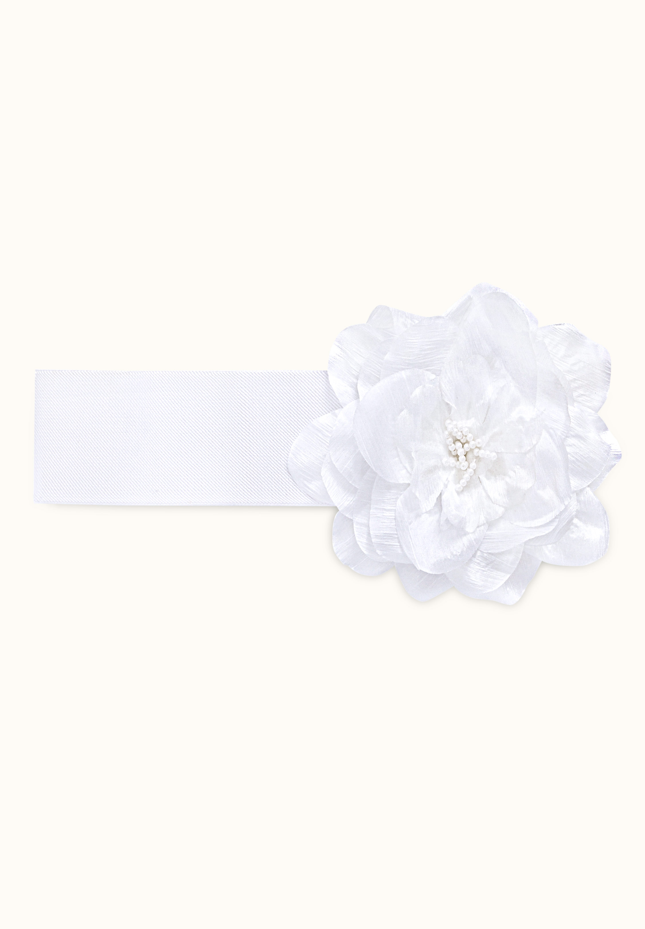 Gio Mio Emma Belt GM0504 | Dance Belts