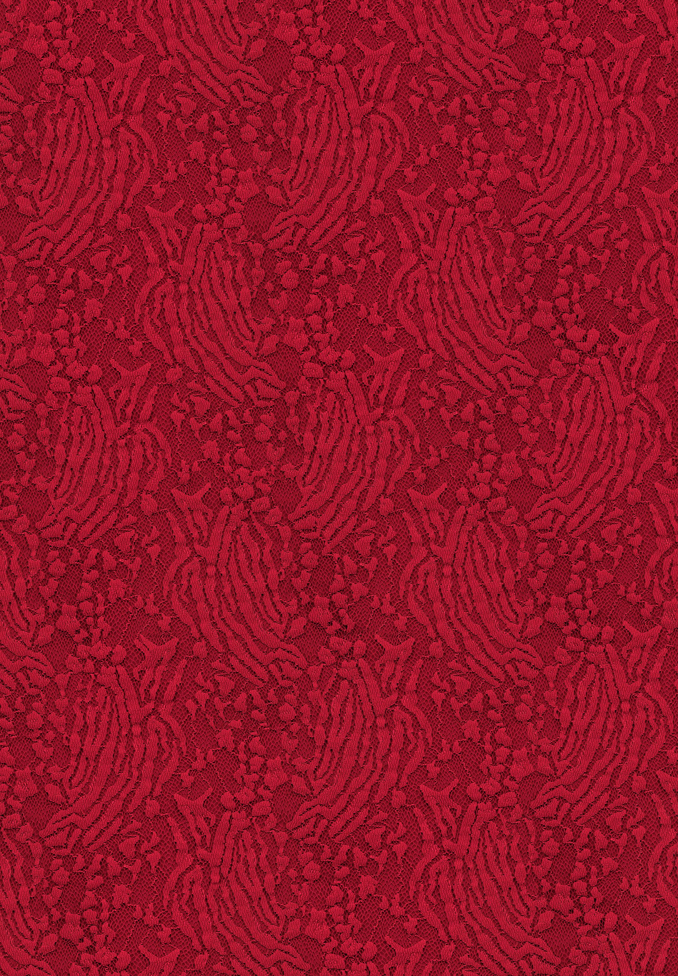 DSI Dakota Stretch Lace 1521 | Danceshopper