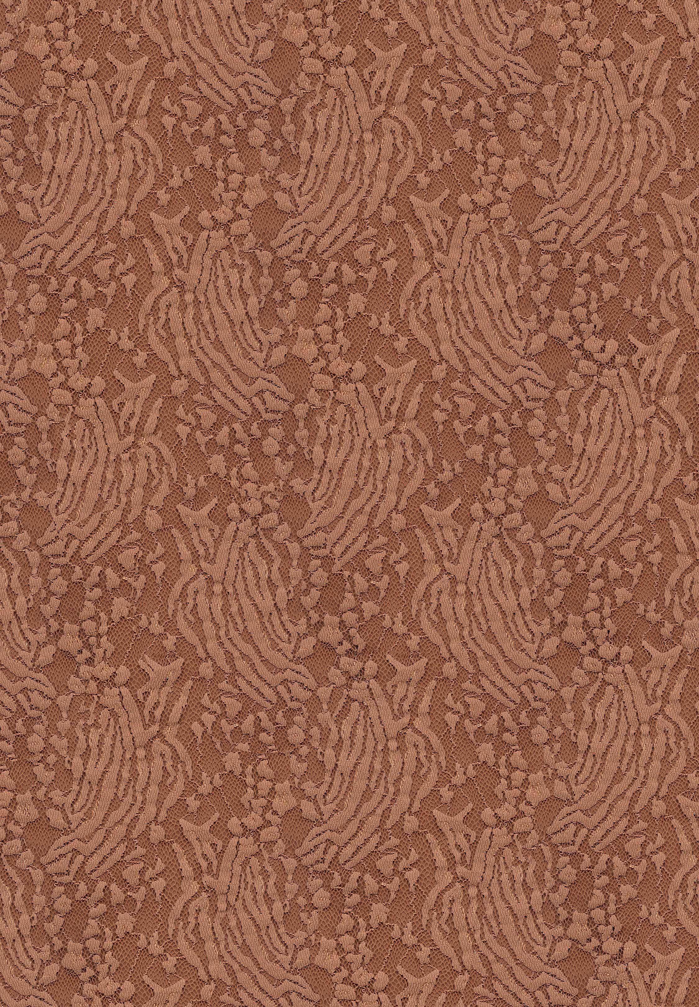 DSI Dakota Stretch Lace 1521 | Danceshopper