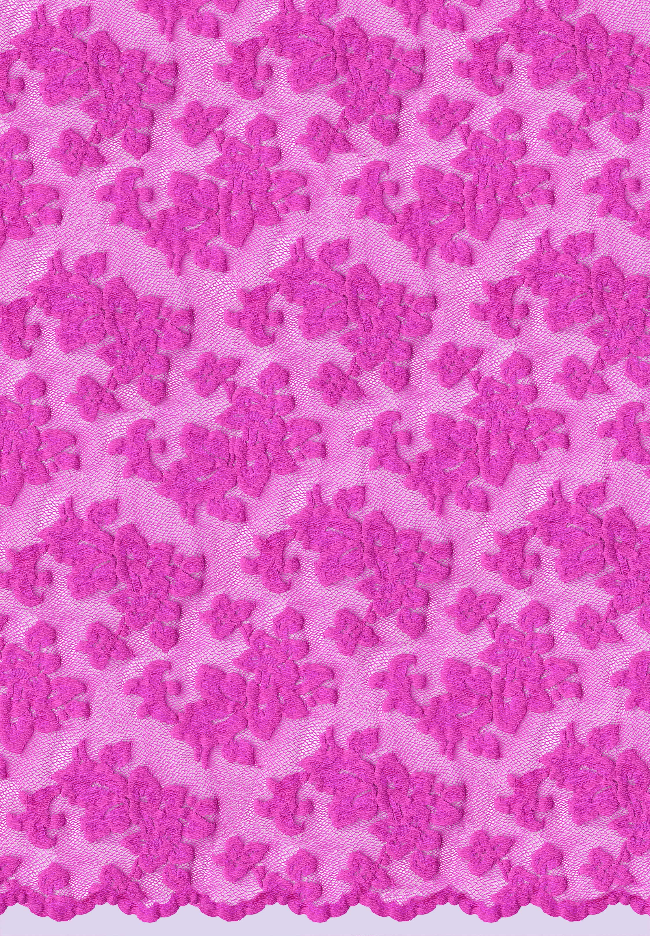 DSI Devotion Stretch Lace 1518 | Danceshopper