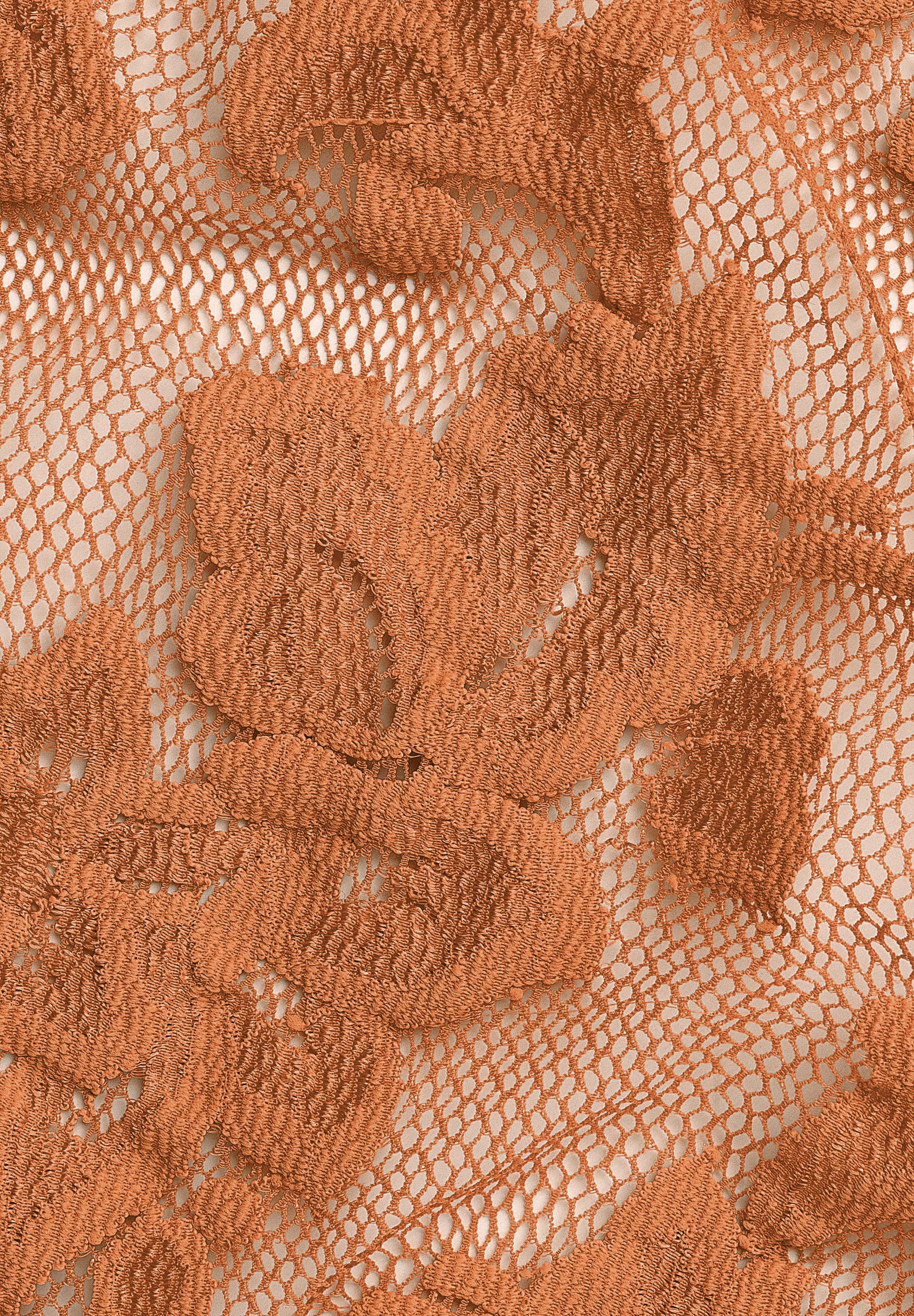 DSI Devotion Stretch Lace 1518 | Danceshopper