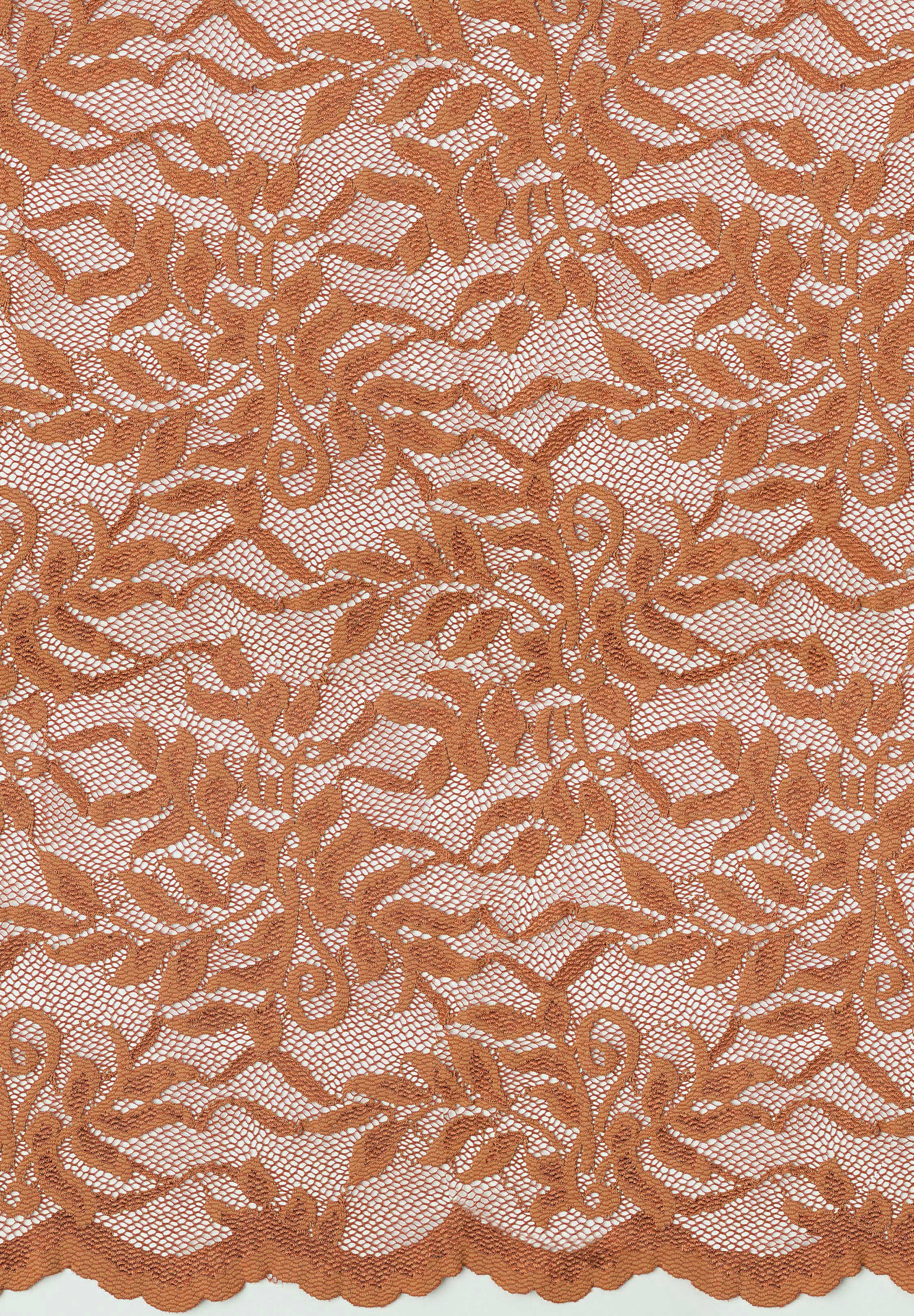 DSI Elsa Stretch Lace 1515 | Danceshopper