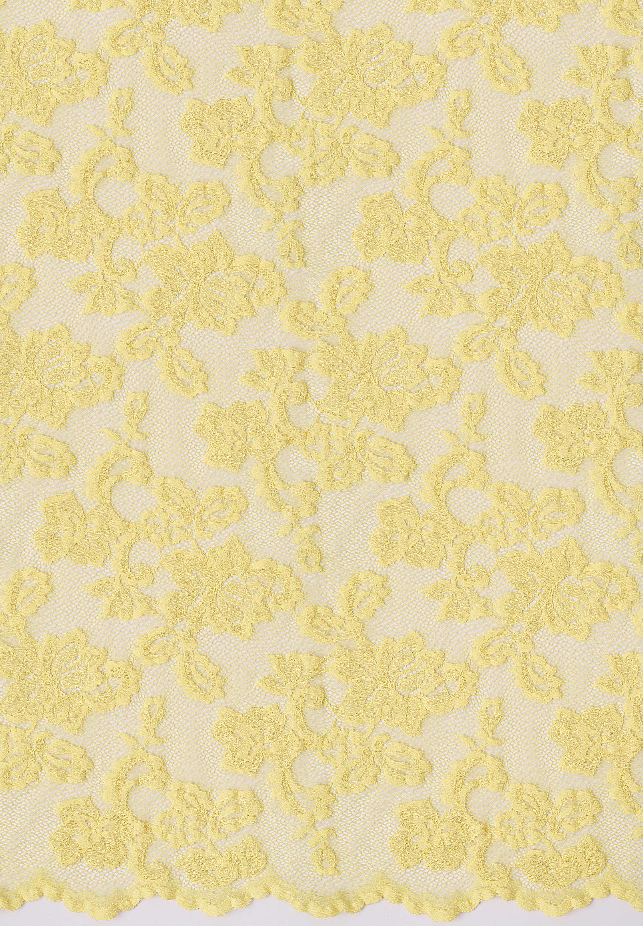 DSI Jasmine Stretch Lace 1522 | Danceshopper