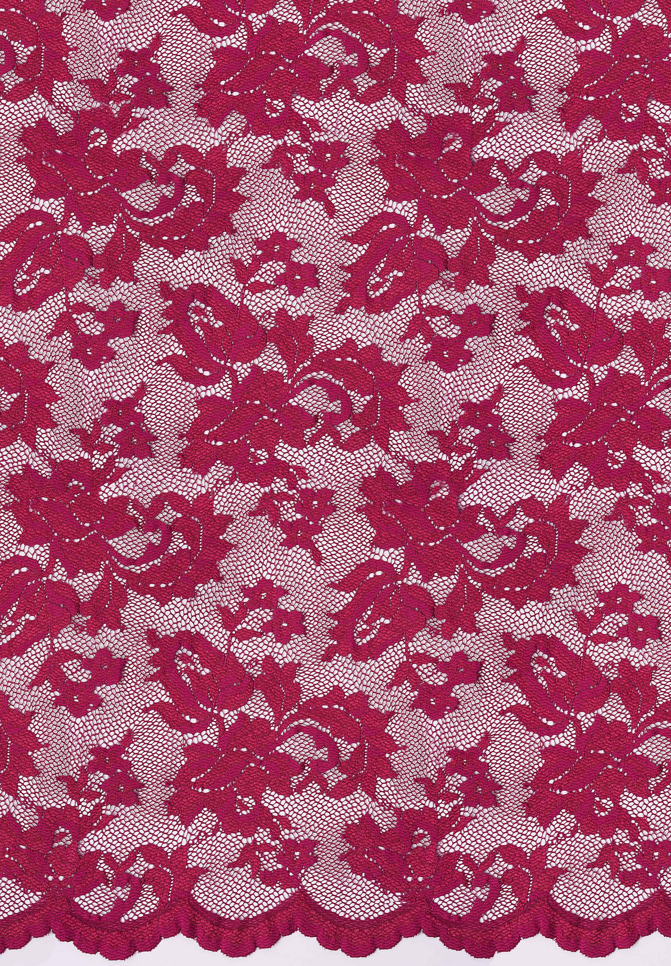 DSI Spanish Rose Stretch Lace 1510 | Danceshopper