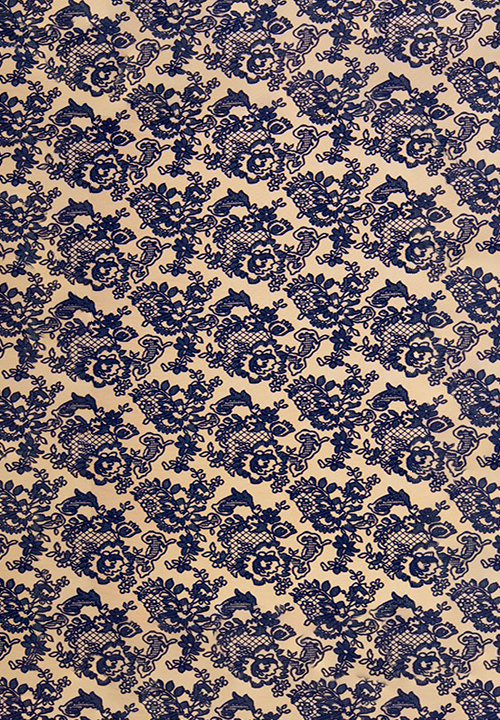 DSI Cherie Flock Mesh 1589 | Danceshopper