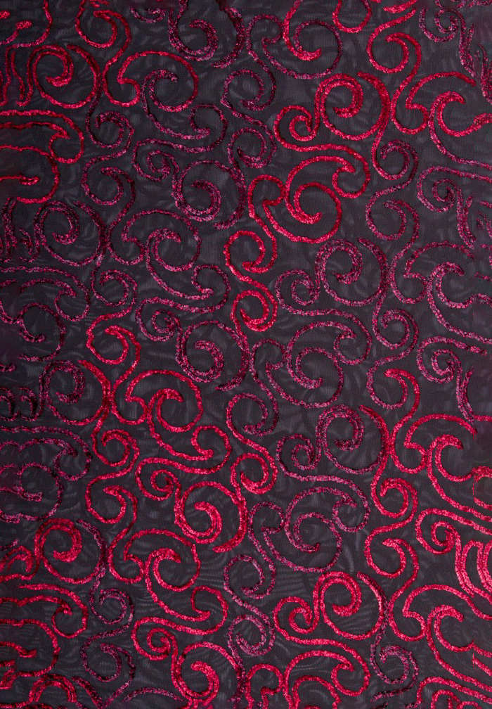 DSI Cleopatra Embroidered Mesh 1680 | Danceshopper