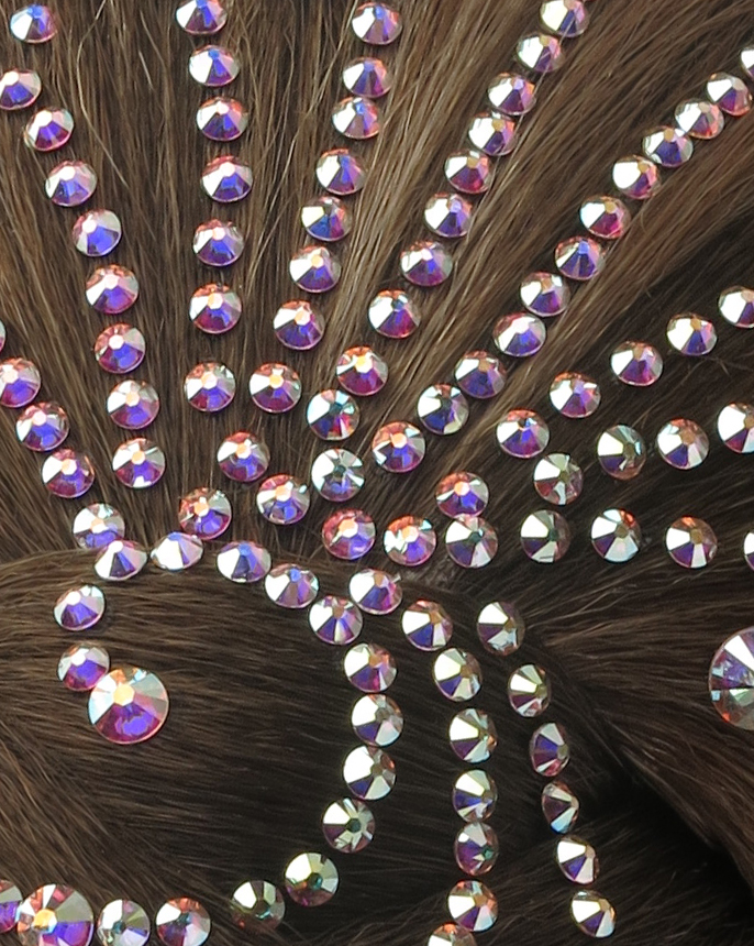 Pherusa Crystal Braided Bun R605 | Rhinestone Jewelry